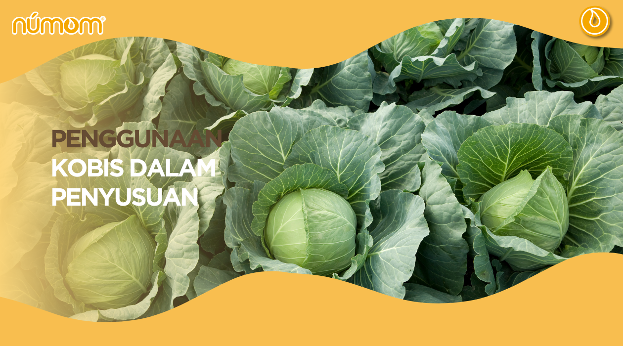 PENGGUNAAN KOBIS DALAM PENYUSUAN - NumomMalaysia